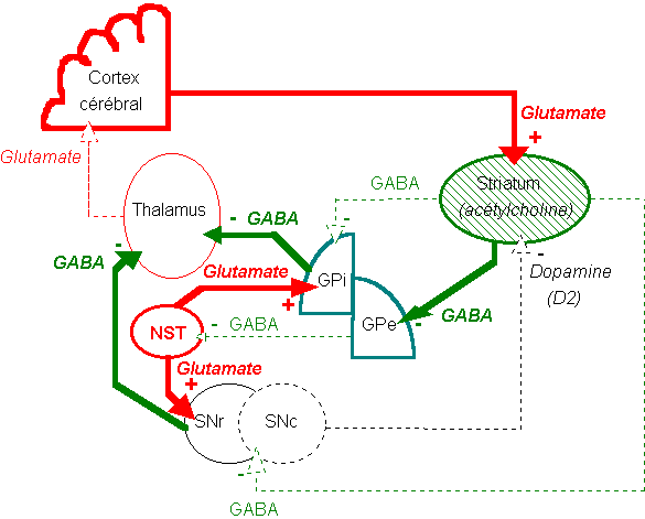 système extra-pyramidal